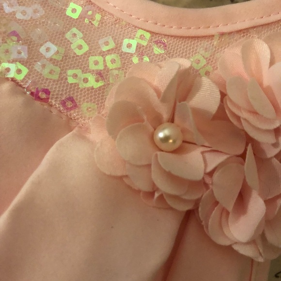 Princess Faith | Dresses | Princess Faith Pink Ballon Dress 24m | Poshmark